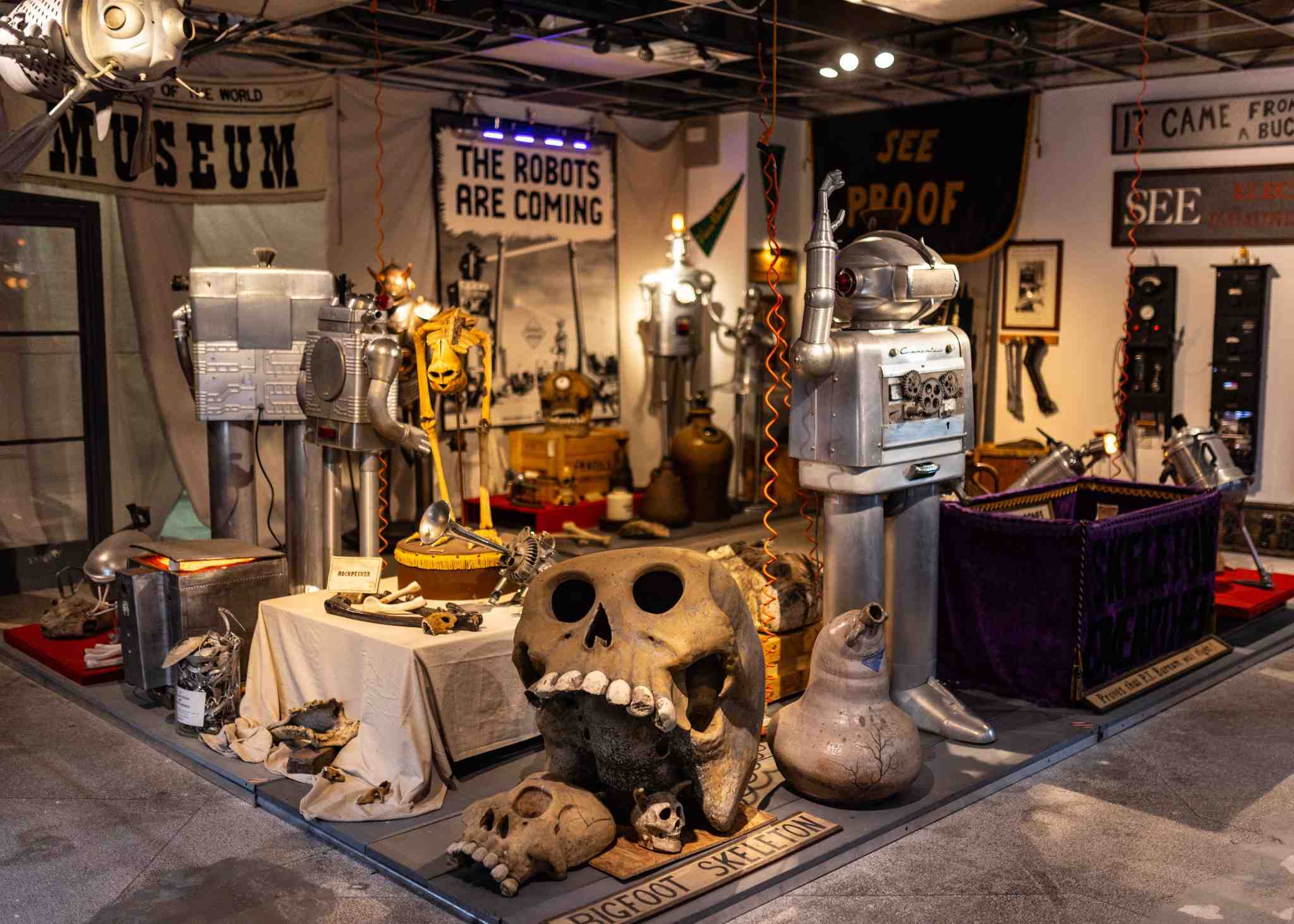 World of Wonders Museum – Clayton Bailey