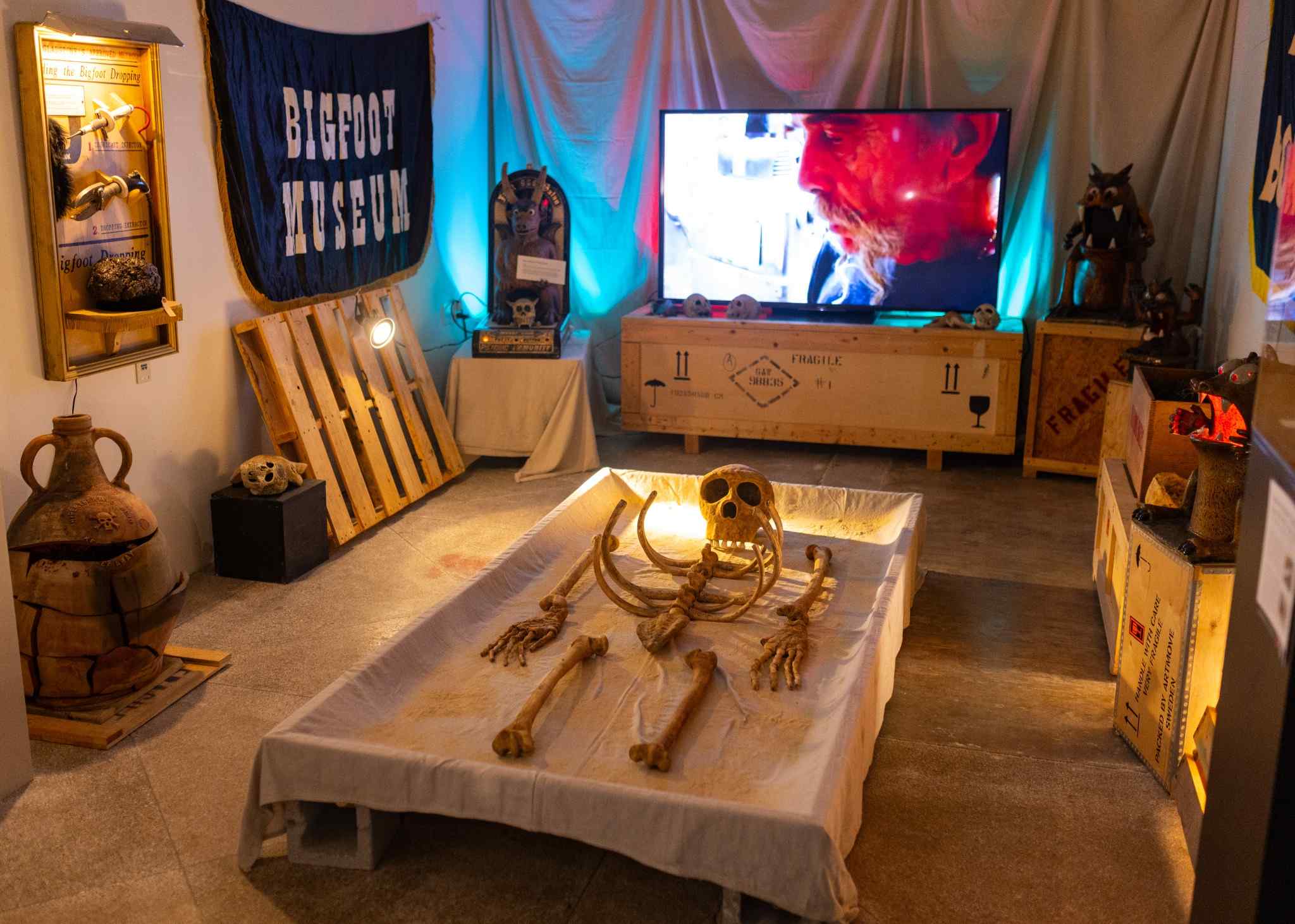 World of Wonders Museum – Clayton Bailey